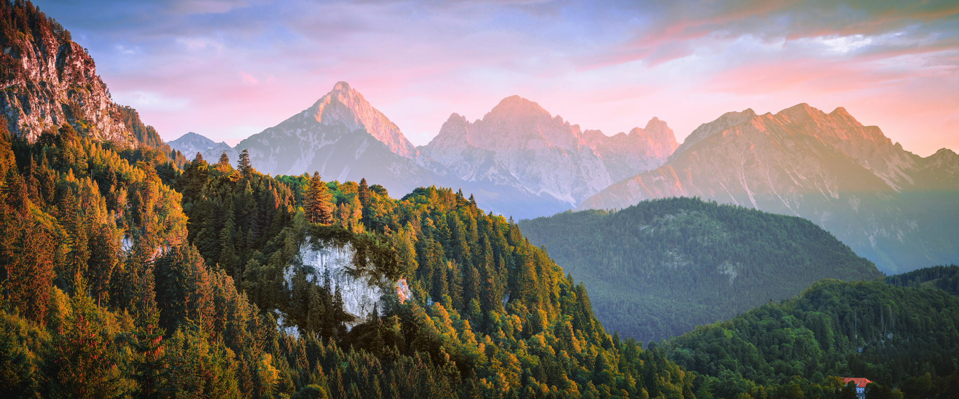 Company Highlight: ASML